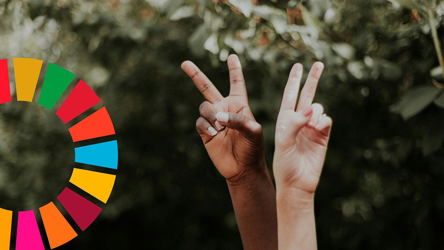 Kestävä kehitys terveystiedon opetuksessa - Toivoa & Toimintaa